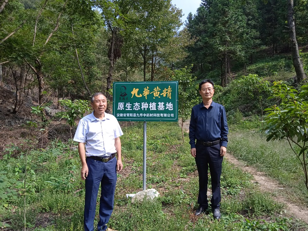 市科协赴青阳县调研乡村振兴工作 池州市科学技术协会